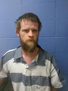 Inmate Roster - Page 41 Current Inmates Booking Date Descending ...