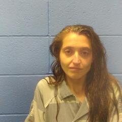 Inmate Roster - Page 1 Released Inmates Booking Date Descending ...